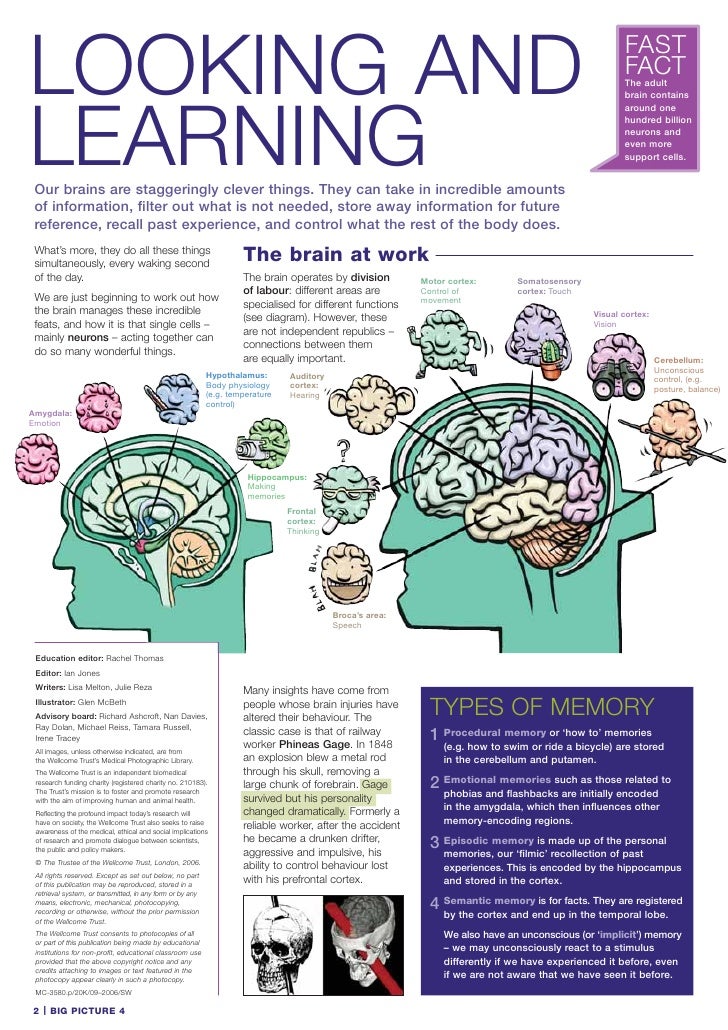 Big Picture On Thinking big-picture-on-thinking