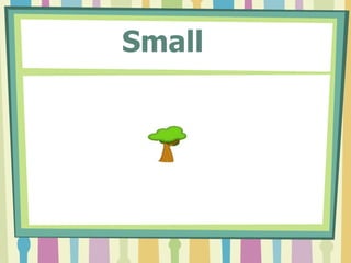 Big small | PPT