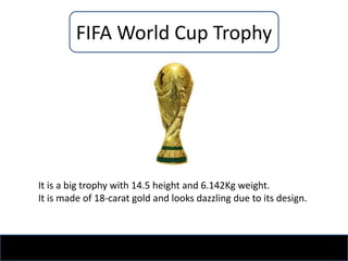 Big and tall trophies in 2019 | PPT