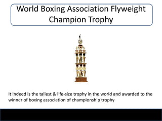 Big and tall trophies in 2019 | PPT