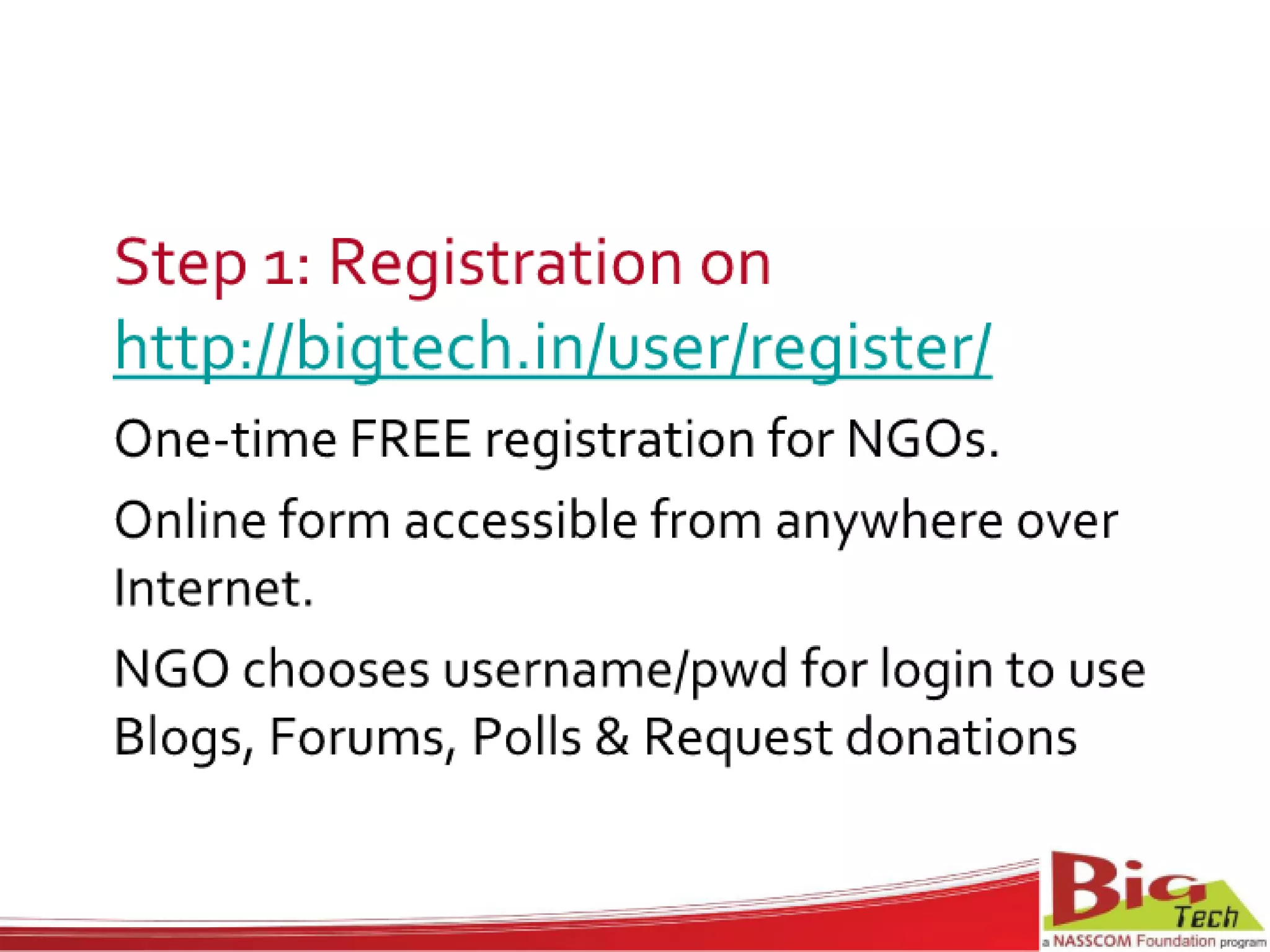 Bigtech primer | PDF