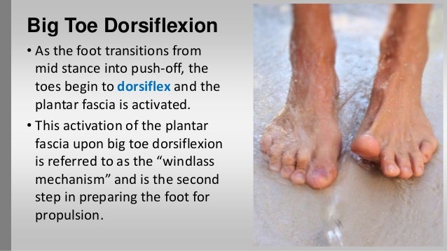 Why Big Toe Function is Critical for Movement & Stability