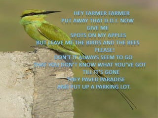 Big yellow taxi | PDF