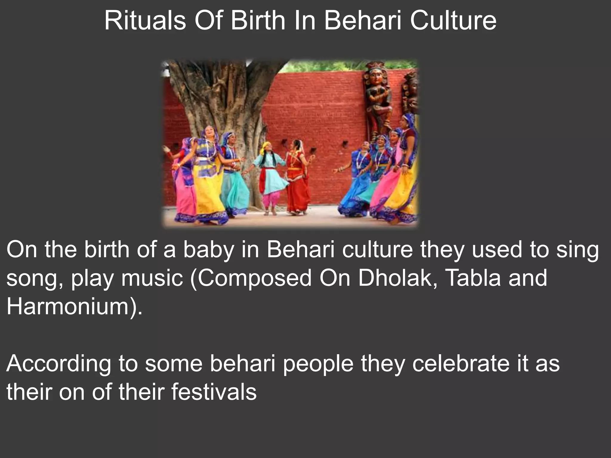 Bihari Culture | PPTX