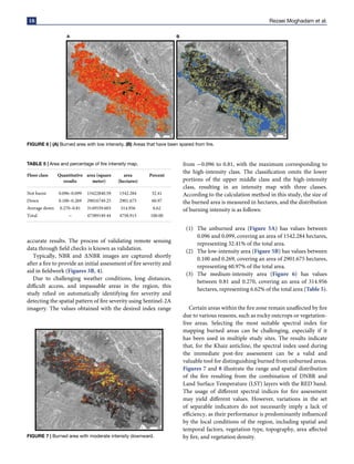 Burned area assessment using Sentinel-2A satellite imagery and DNBR ...