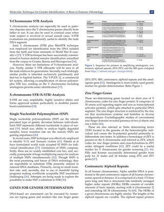 Molecular Technique for Gender Identification: A Boon in Forensic ...