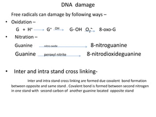 Presentation on Free Radicals Theory of Aging ppt | PPTX