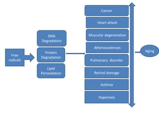 Presentation on Free Radicals Theory of Aging ppt | PPTX