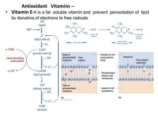 Presentation on Free Radicals Theory of Aging ppt | PPTX