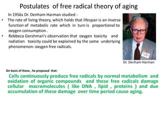 Presentation on Free Radicals Theory of Aging ppt | PPTX
