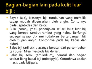 Tugas TIK- POWER POINT BIJI | PPTX