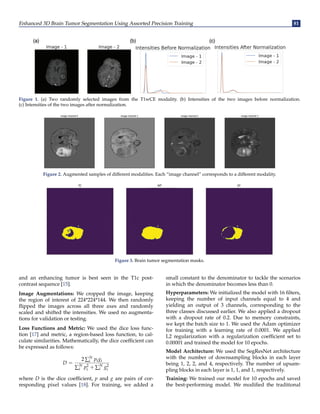 Enhanced 3D Brain Tumor Segmentation Using Assorted Precision Training | PDF