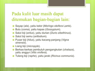 Biji (semen) | PPTX