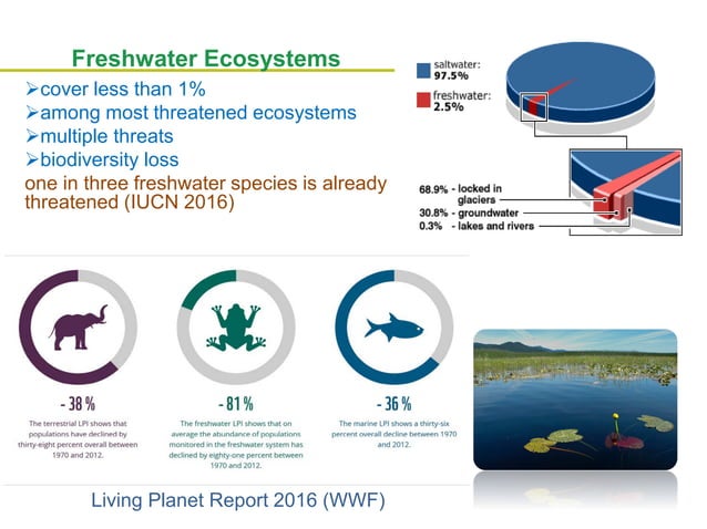 Bijoy Nandan S - UEI Day 2 - Kochi Jan18 | PPT