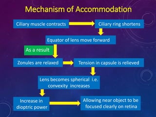 Accommodation/ Accommodation of Eye, Measurement of Accommodation of ...