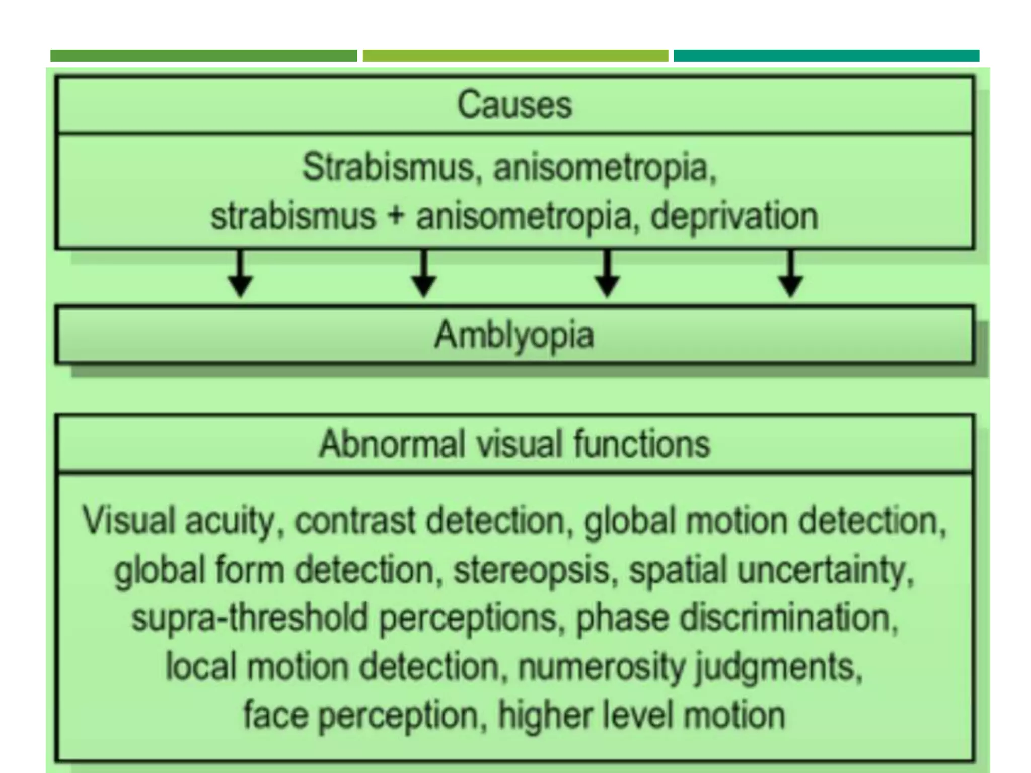 Current Trend in Management of Amblyopia (Amblyopia Therapy)/ Amblyopia ...