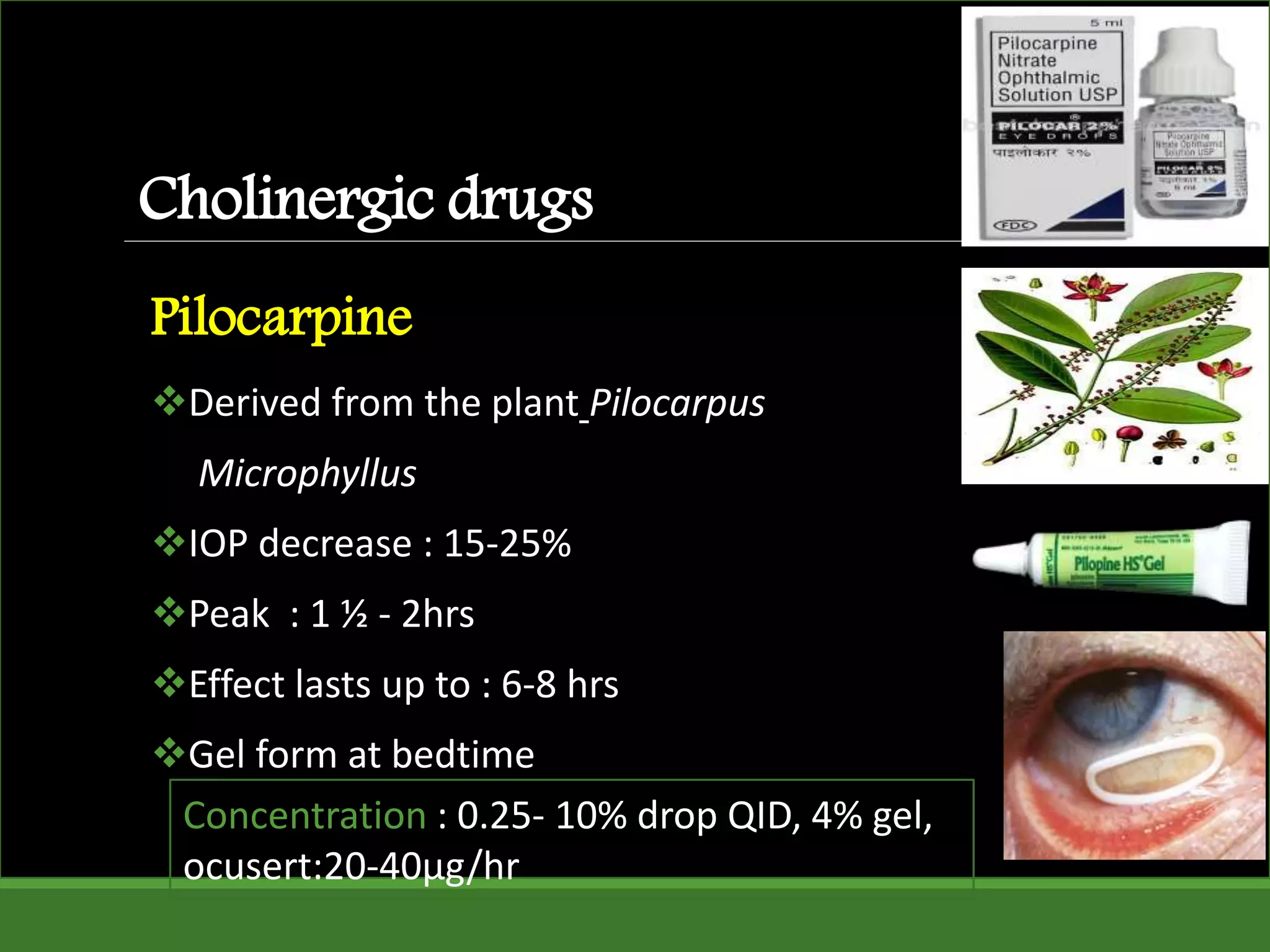Anti-glaucoma Drugs /Anti glaucoma eye drops/ Glaucoma Medications ...