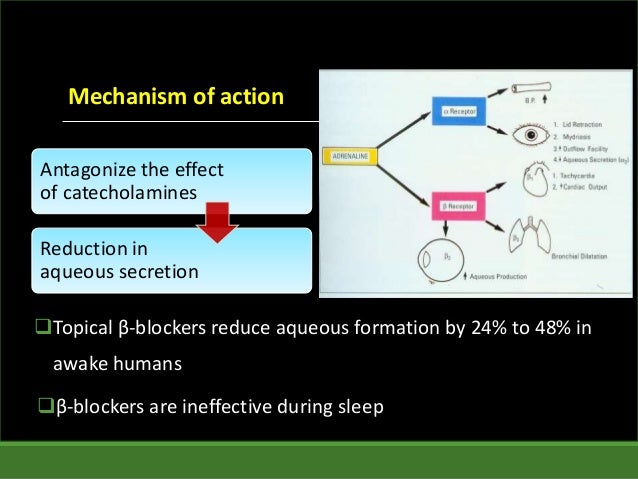 Anti-glaucoma Drugs (Ocular Pharmacology)