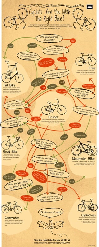 Bike infographic | PDF