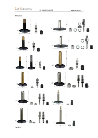 Bike valve | PDF