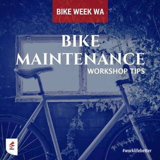 15 ways to keep your bike in top condition | PDF