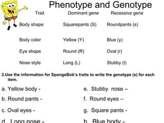 Bikini bottom genetics practice 4.02