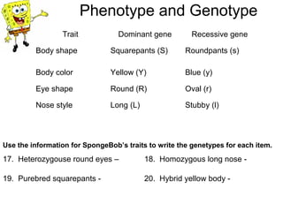 Bikini bottom genetics practice 4.02
