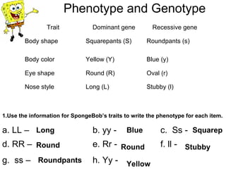 Bikini bottom genetics practice 4.02 answers | PPT