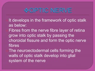 Ocular Embryology | PPTX