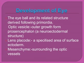 Ocular Embryology | PPTX | Eye and Vision Conditions | Diseases and ...