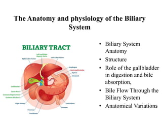 Bilairy Diskansia Shafaat.pptx