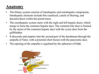 Bilairy Diskansia Shafaat.pptx