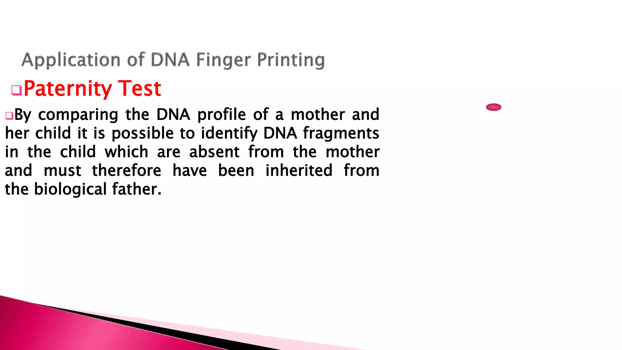DNA Fingerprinting.pptx