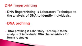 DNA Fingerprinting.pptx