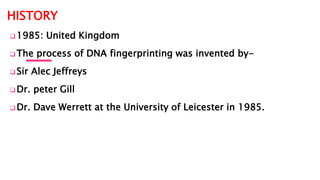 DNA Fingerprinting.pptx