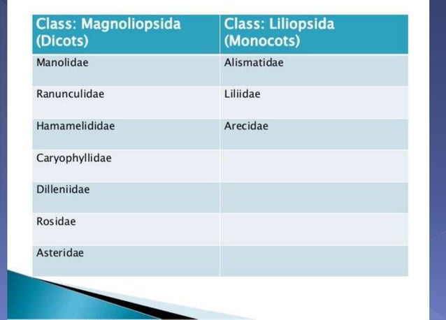 TAKHTAJAN SYSTEM OF CLASSIFICATION OF PLANTS | PPTX