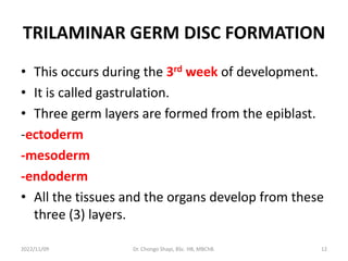 Bilaminar and trilaminar discs formation.pdf