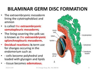 Bilaminar and trilaminar discs formation.pdf