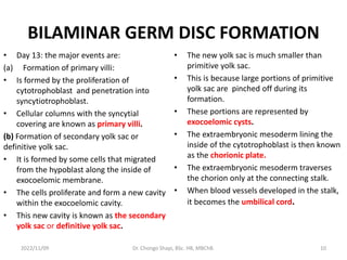 Bilaminar and trilaminar discs formation.pdf