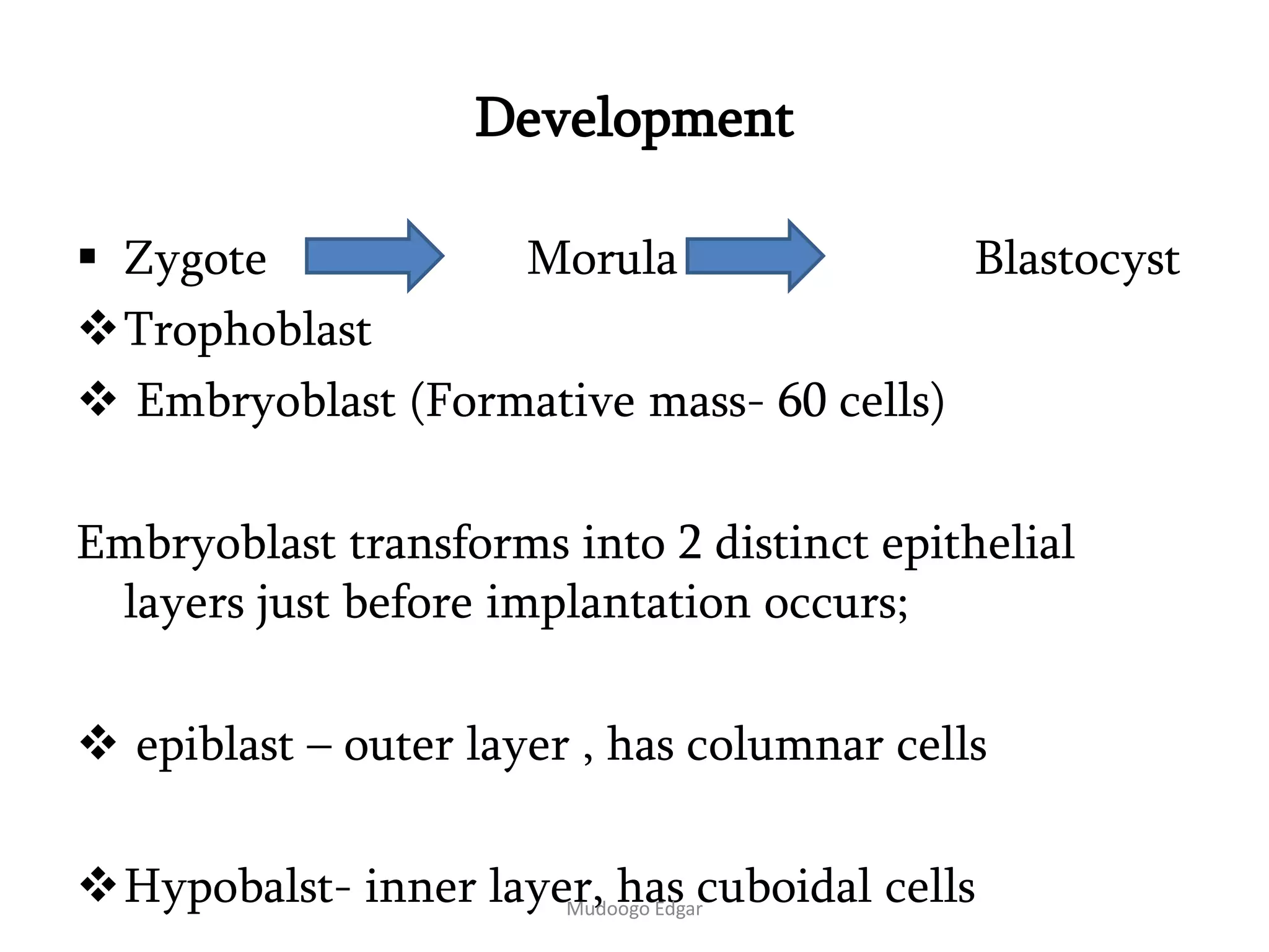 Bilaminar germ disc presentation | PPTX