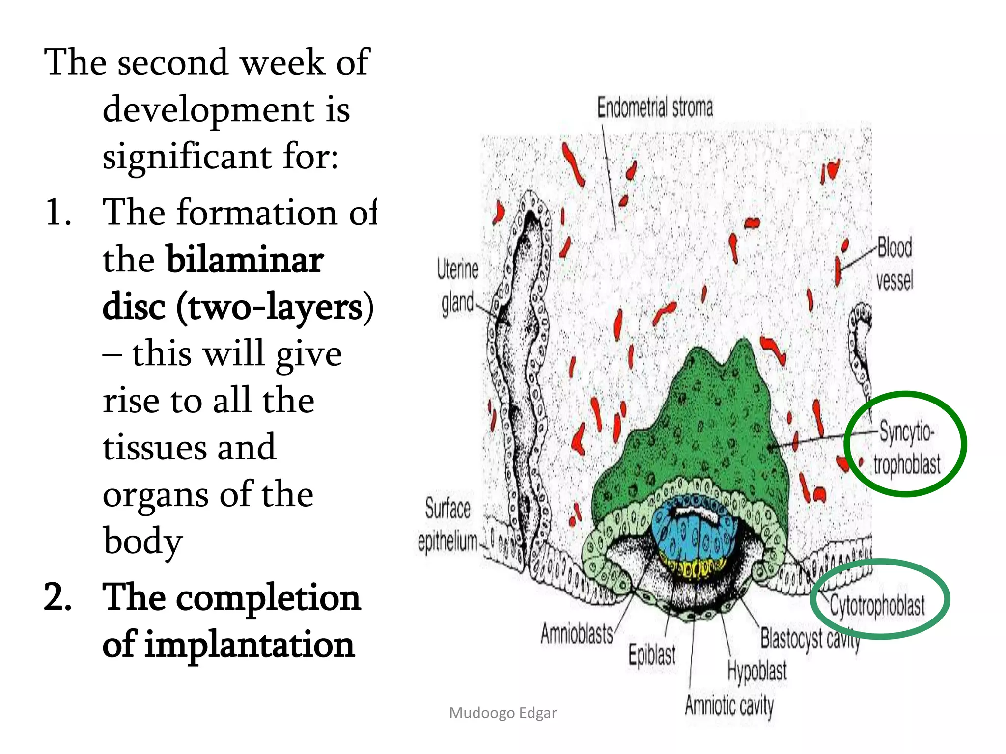 Bilaminar germ disc presentation | PPTX