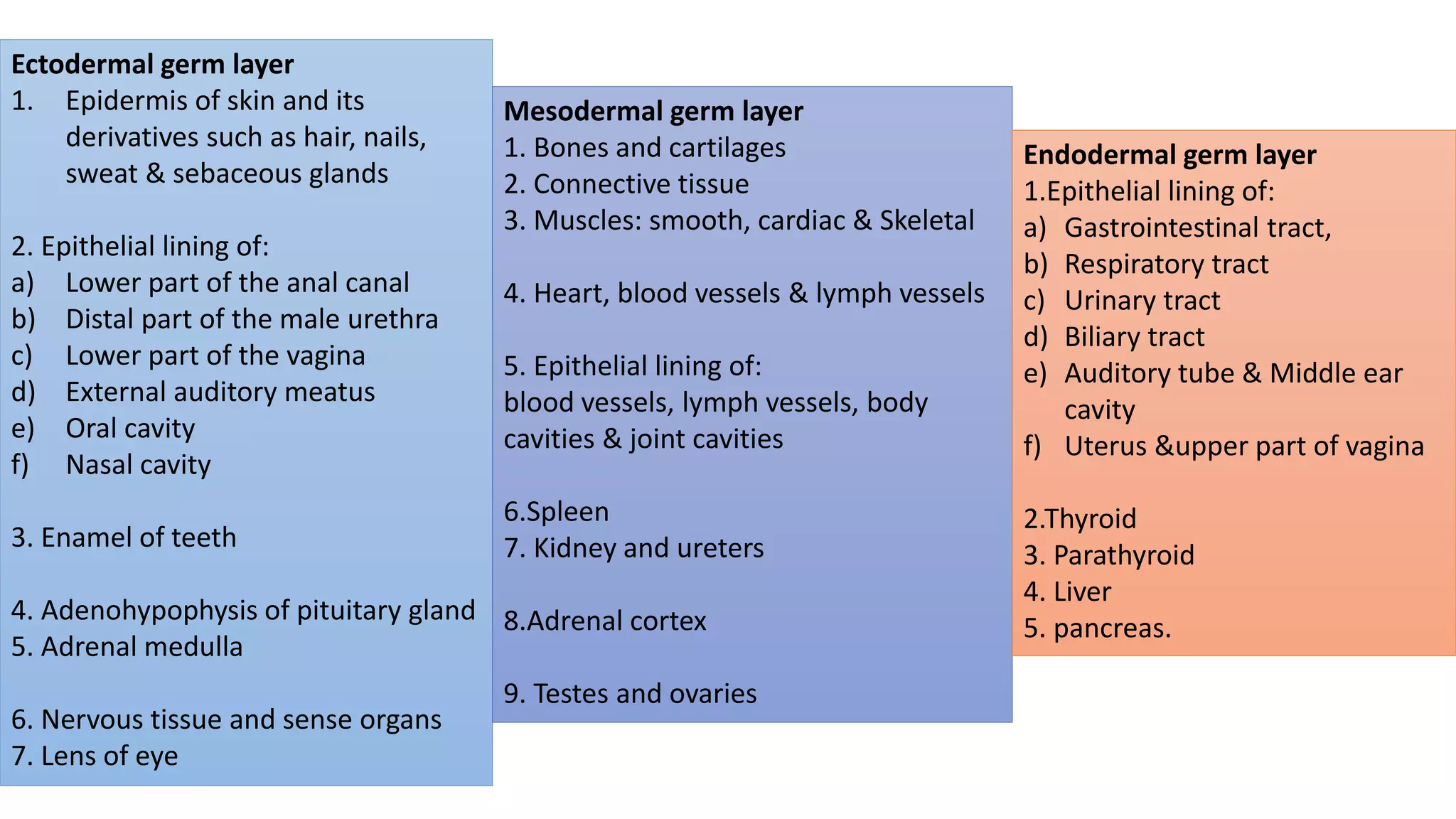 Bilaminar & trilaminar embryonic germ disc | PPTX