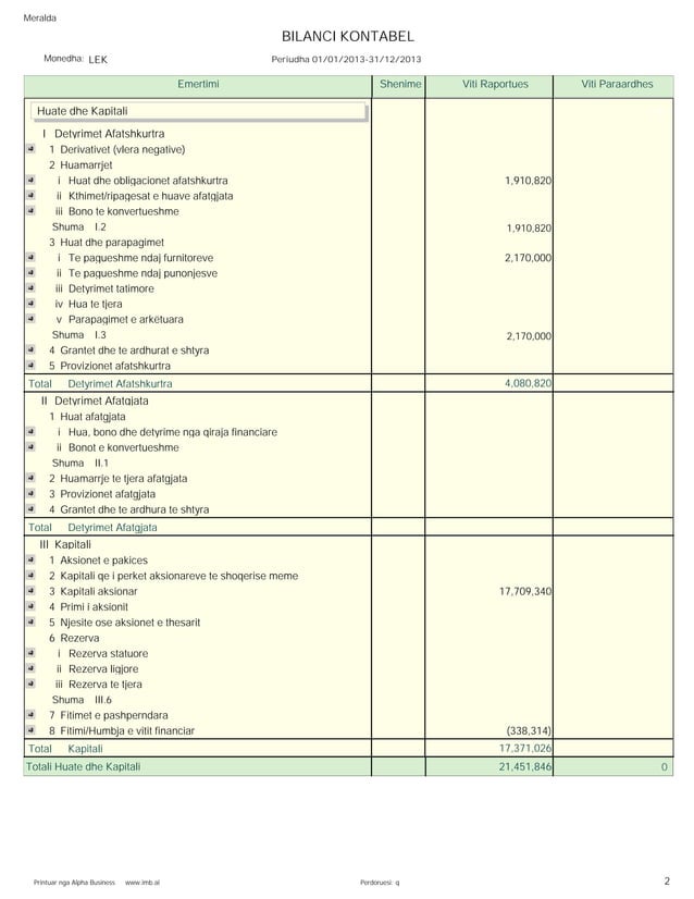 Bilanci kontabel | PDF