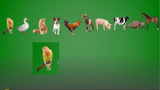 BILANG ORDINAL - Grade 1 Math - Tagalog Presentation | PPT