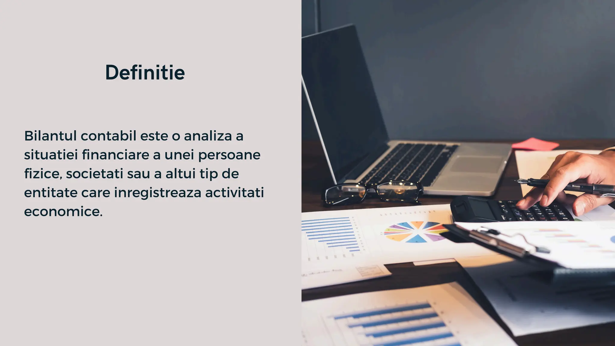 Bilantul contabil - caracteristici si aplicabilitate | PDF