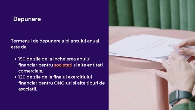 Bilantul contabil - caracteristici si aplicabilitate | PDF