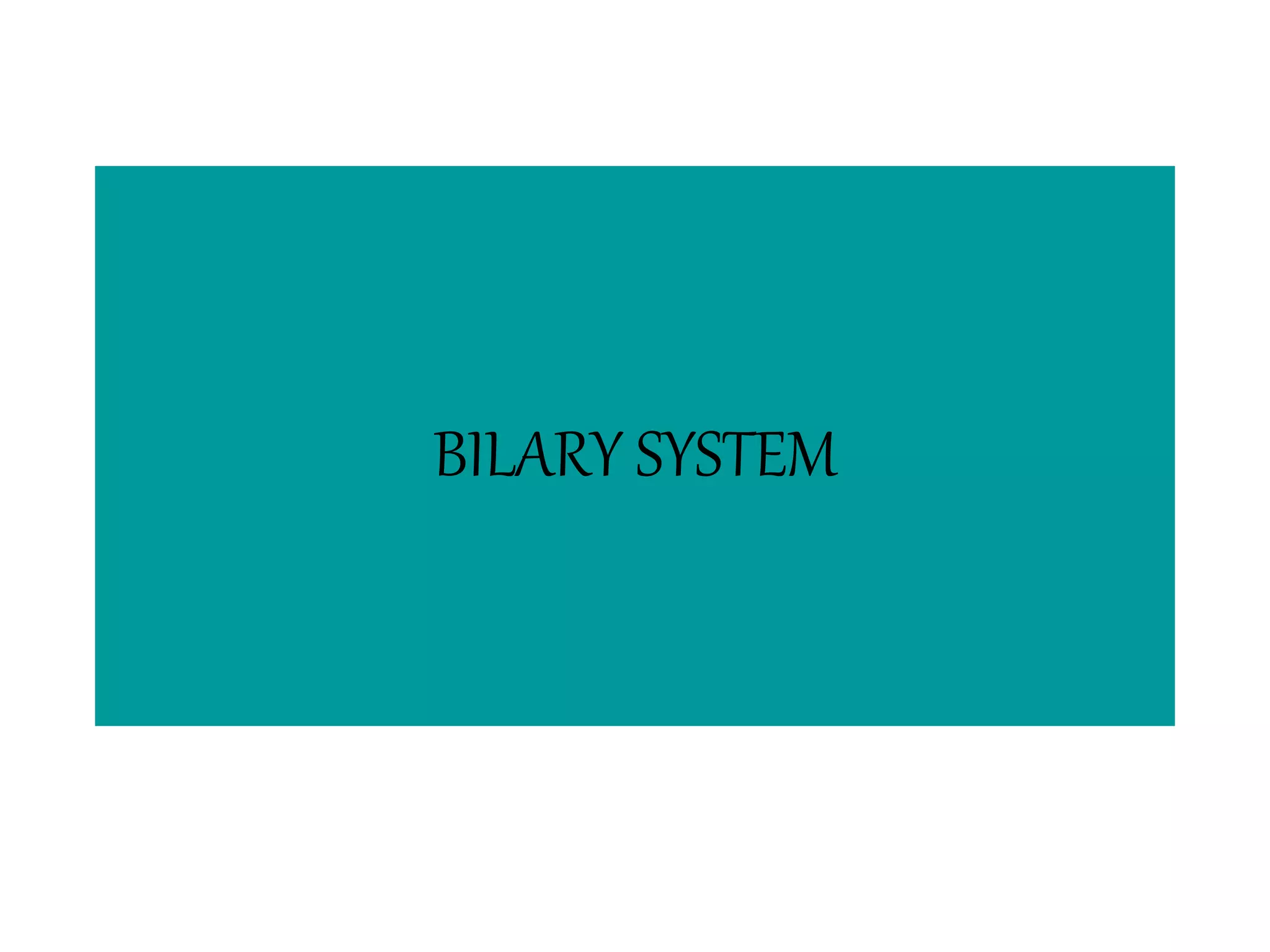 BILARY.ppt