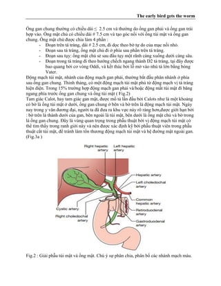 Hệ thống đường mật - bệnh lí liên quan | PDF