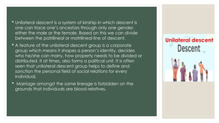 determinants of bilateral descent groups | PPT