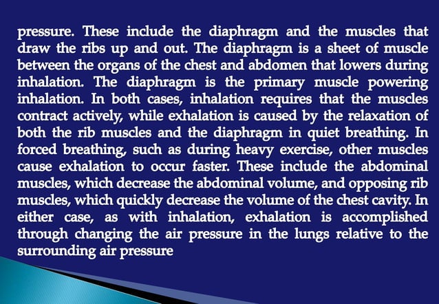 Bilateral spontaneous pnuemothoraces with pleuro pleural communication ...